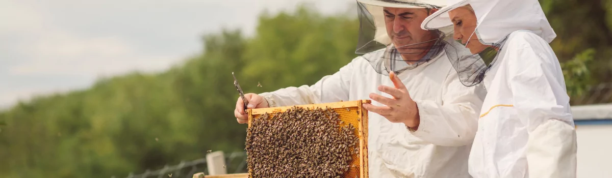 Contact Us - Beautiful Bees